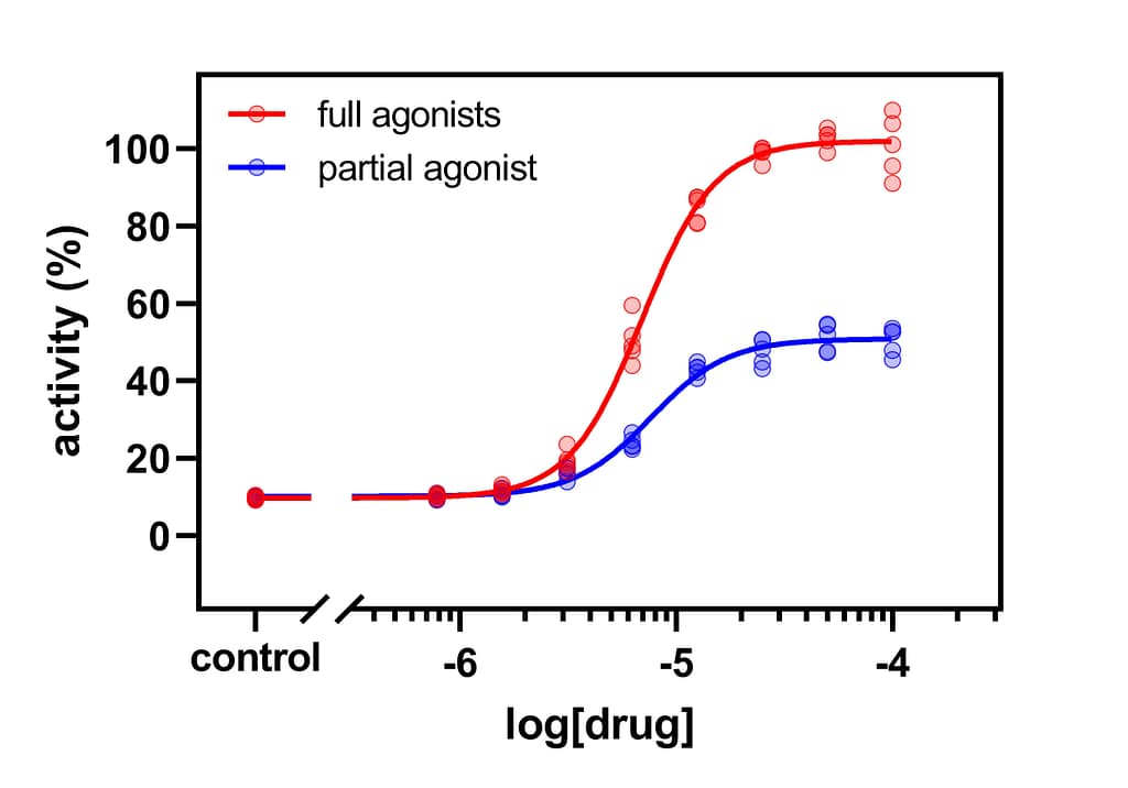 Drug-Receptor Interactions | Pharmacology Mentor