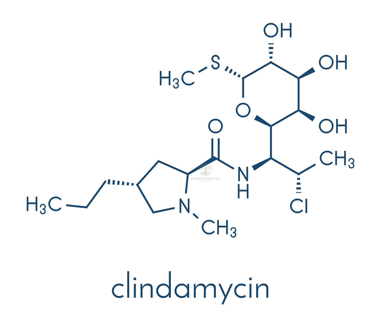 Clindamycin: a lincosamide antibiotic | Pharmacology Mentor