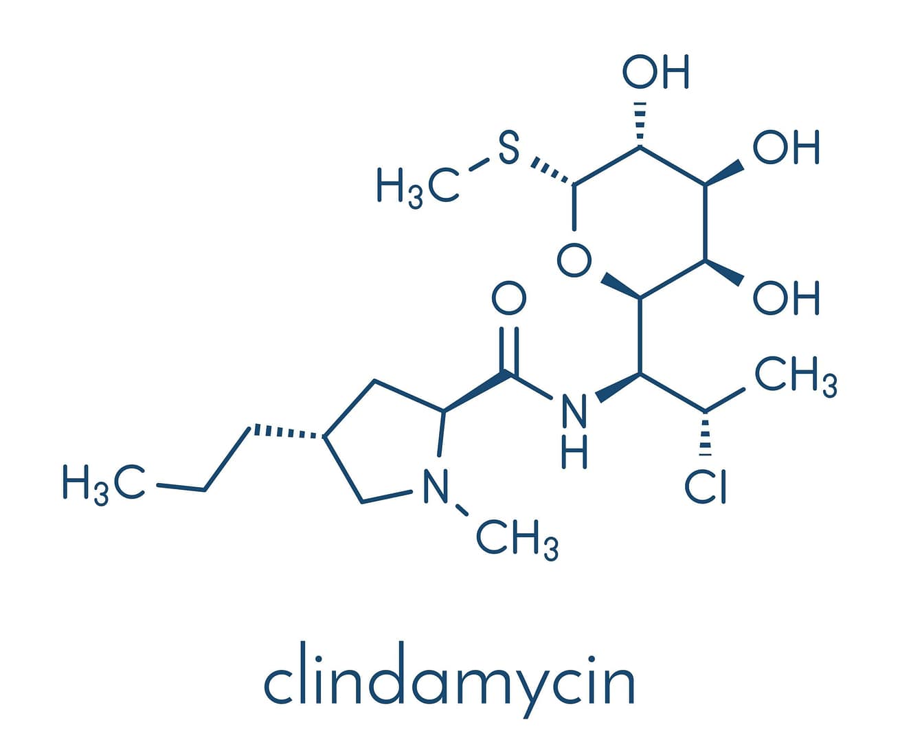 Pharmacology of Clindamycin | Pharmacology Mentor