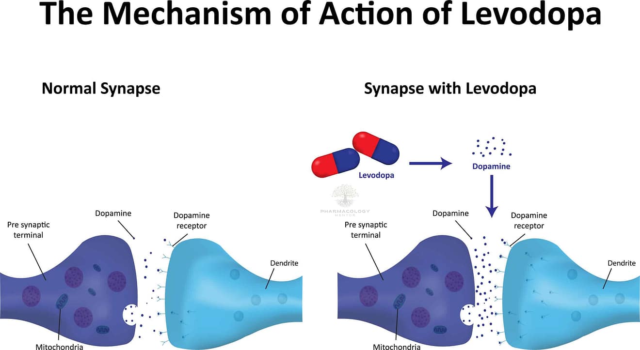 Antiparkinsonian Drugs | Pharmacology Mentor