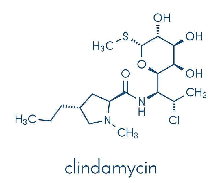 Pharmacology of Clindamycin | Pharmacology Mentor