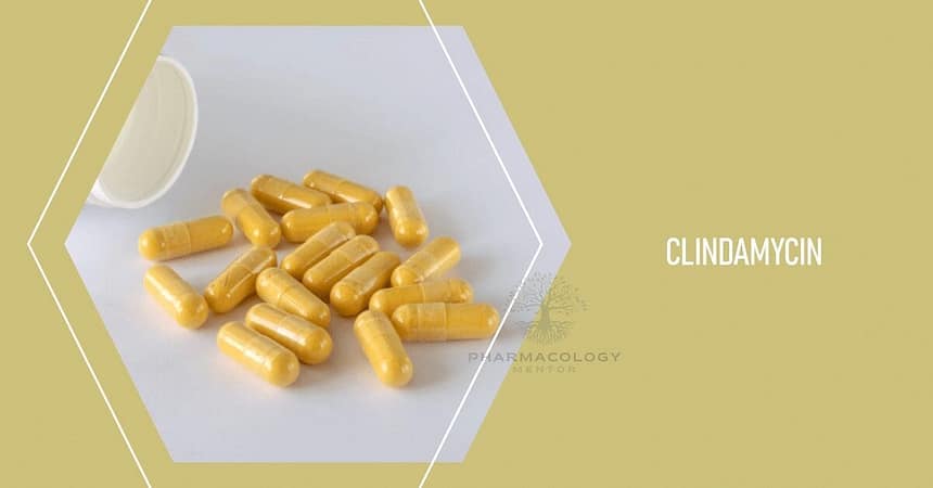 Clindamycin: a lincosamide antibiotic | Pharmacology Mentor