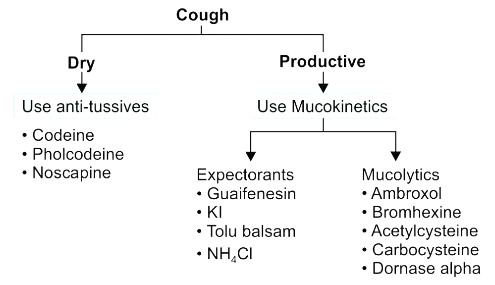 Pharmacotherapy of Cough | Pharmacology Mentor
