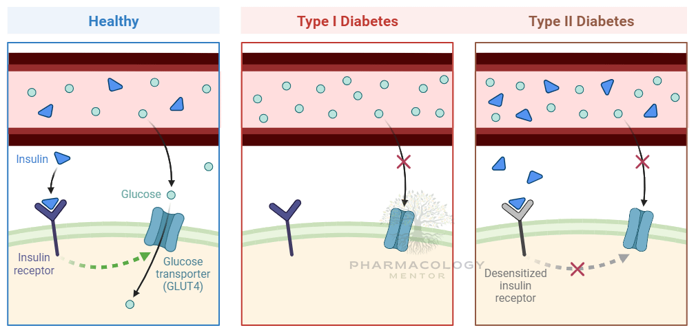 Your Complete Guide to Understanding Diabetes: From Symptoms to ...