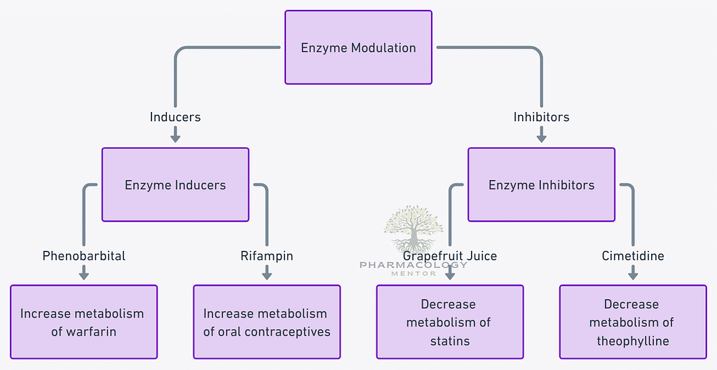 Enzyme inducers | Pharmacology Mentor