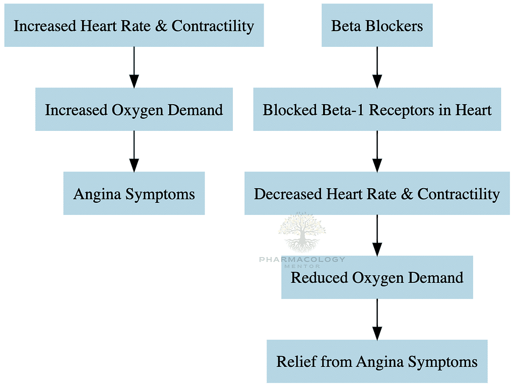 Treatment of Angina Pectoris | Pharmacology Mentor