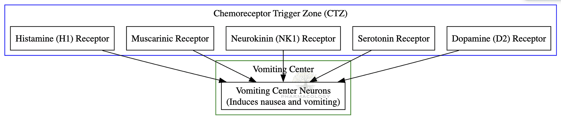 The Vomiting Center and CTZ: What You Need to Know | Pharmacology Mentor
