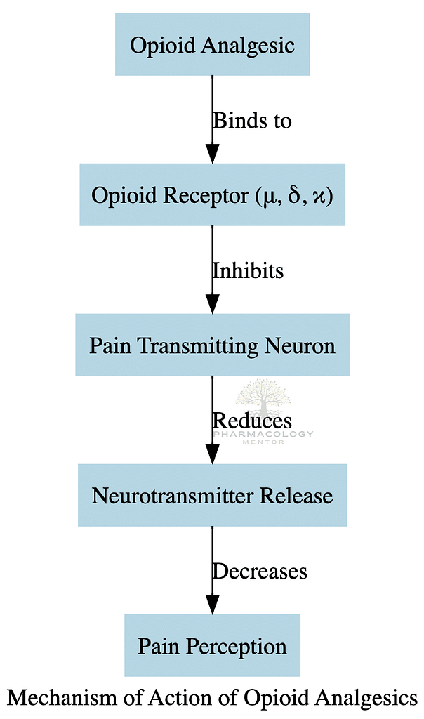 Pharmacology of Opioid Analgesics | Pharmacology Mentor