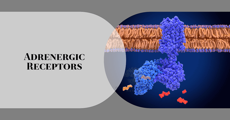 Pharmacokinetics Principles | Pharmacology Mentor