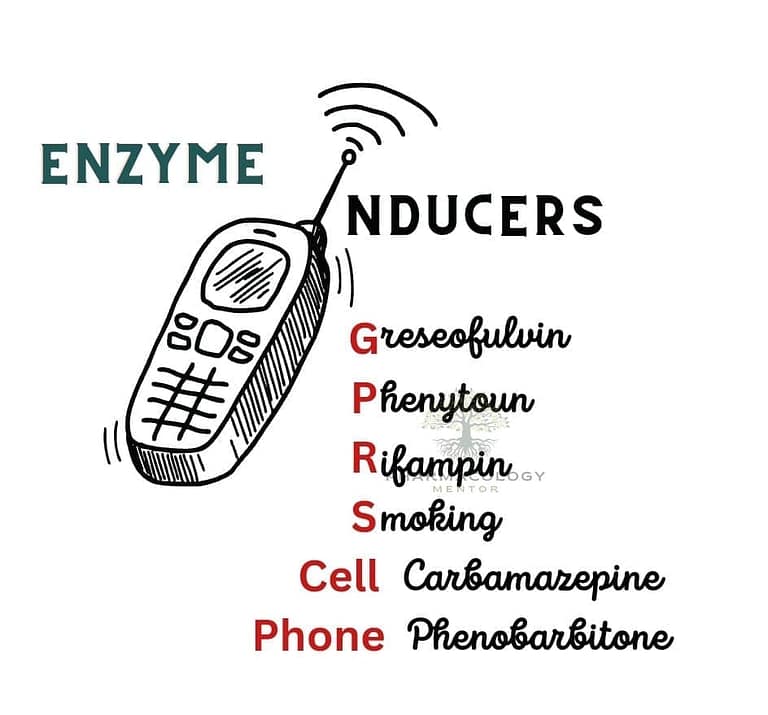 Enzyme inducers | Pharmacology Mentor
